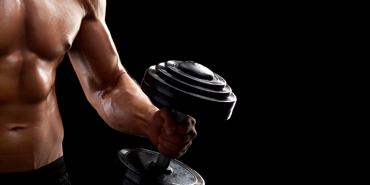 Creatine vs Whey Protein: Which Is Best for Muscle Building?