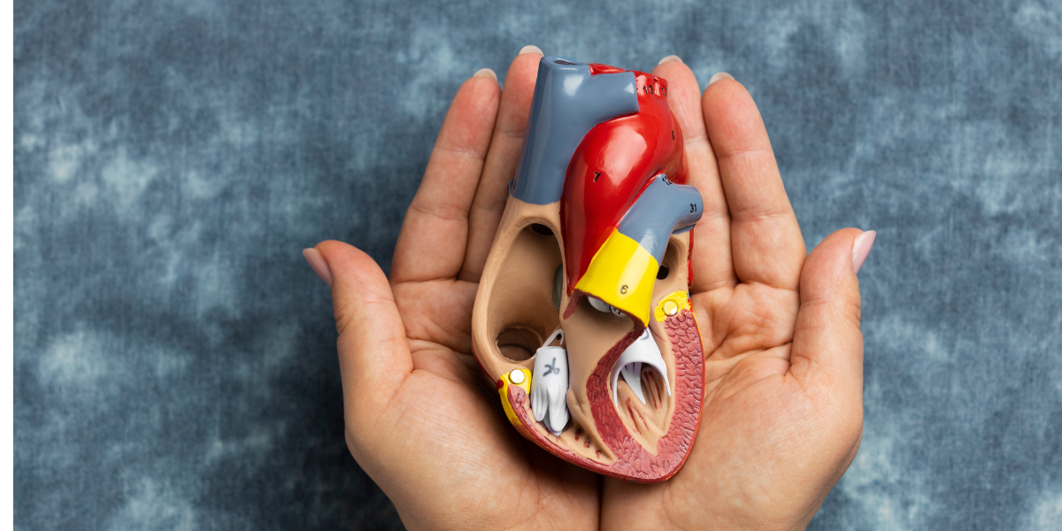 High Cholesterol: Top Causes and Warning Signs You Shouldn’t Ignore ...