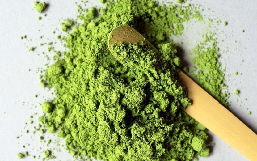 Matcha Tea Powder: How to Identify Freshness, Flavor & Quality