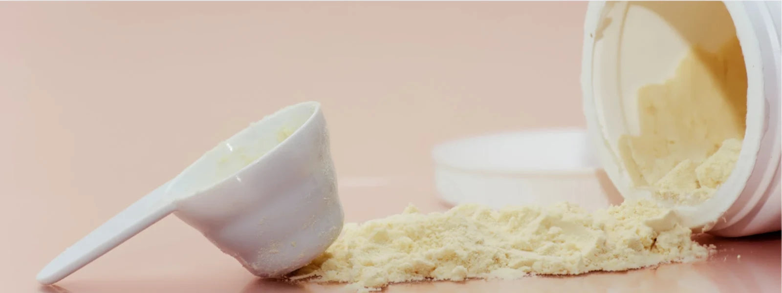 Milk Protein Powder: Your Complete Nutrition Guide
