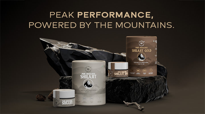 Pure Himalayan Shilajit Supplements for All | Wellbeing Nutrition