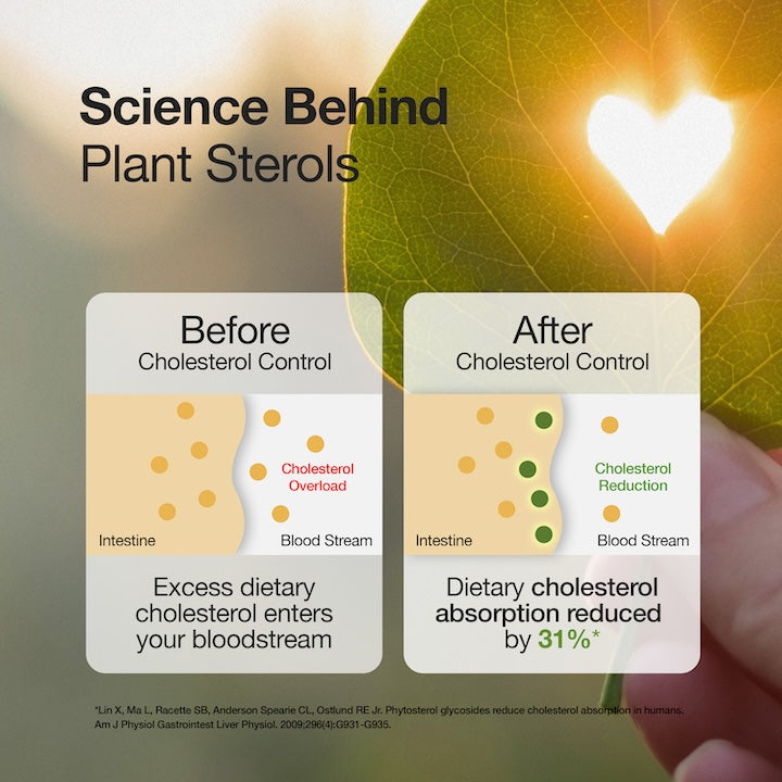 Buy India’s Best Cholesterol Control Capsules | Wellbeing Nutrition
