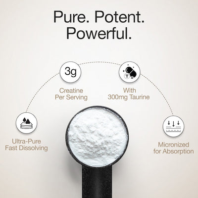 Buy Best Creatine Monohydrate Powder 300mg | HPLC Tested